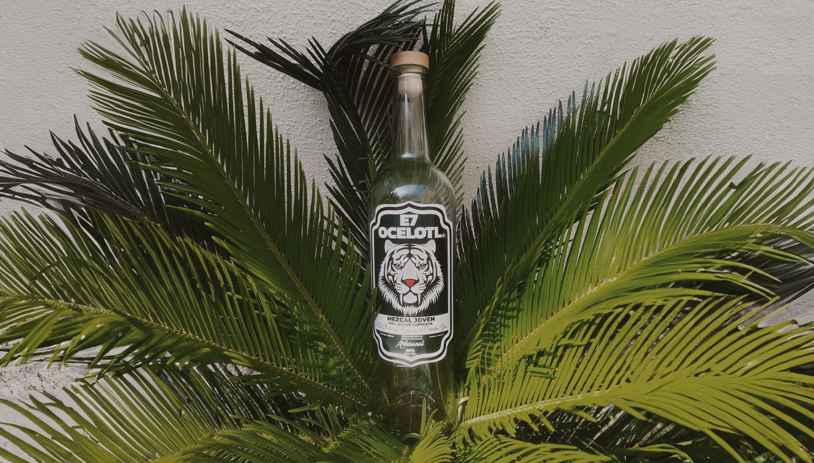 Conoce el E7 Ocelotl Joven, un mezcal con DOP nacido en Guerrero