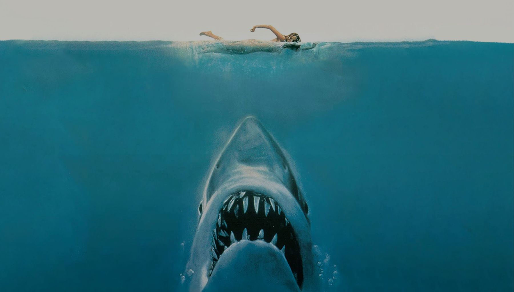 Los tiburones más icónicos del cine: 12 películas en tu watch list
