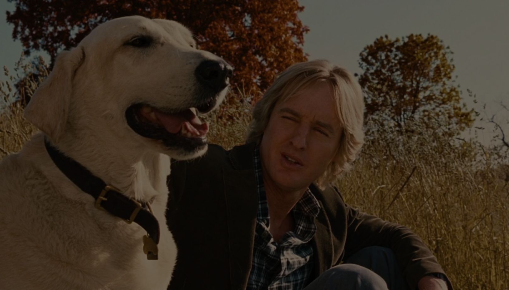 14 perros icónicos del cine y sus historias